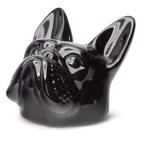 Scentsy Frenchie - DISH ONLY | Home Fragrance Biz | Canada