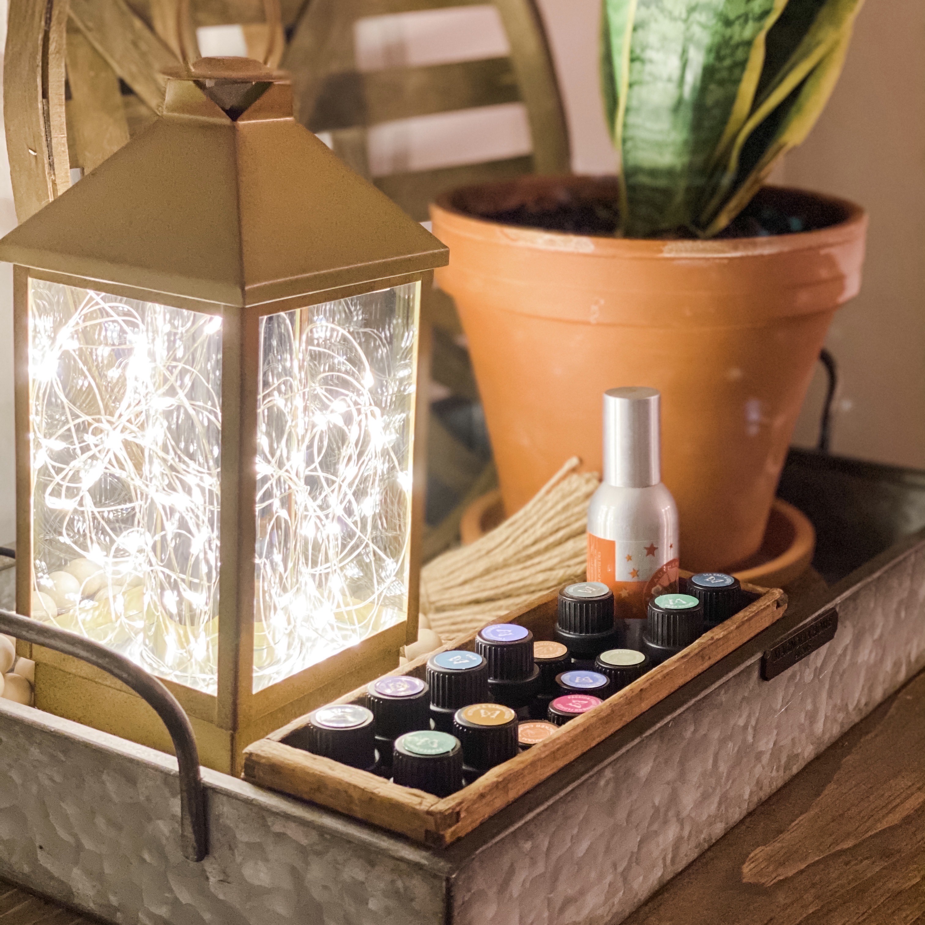 SCENTSY online store | Home Fragrance Biz | Canada